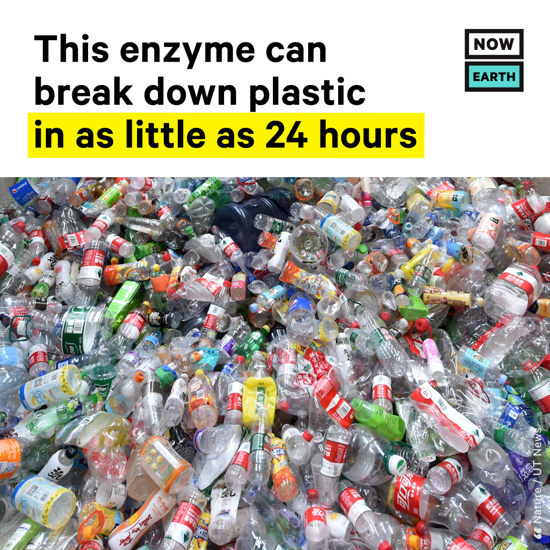 NowThis on Twitter: NowThis on Twitter: