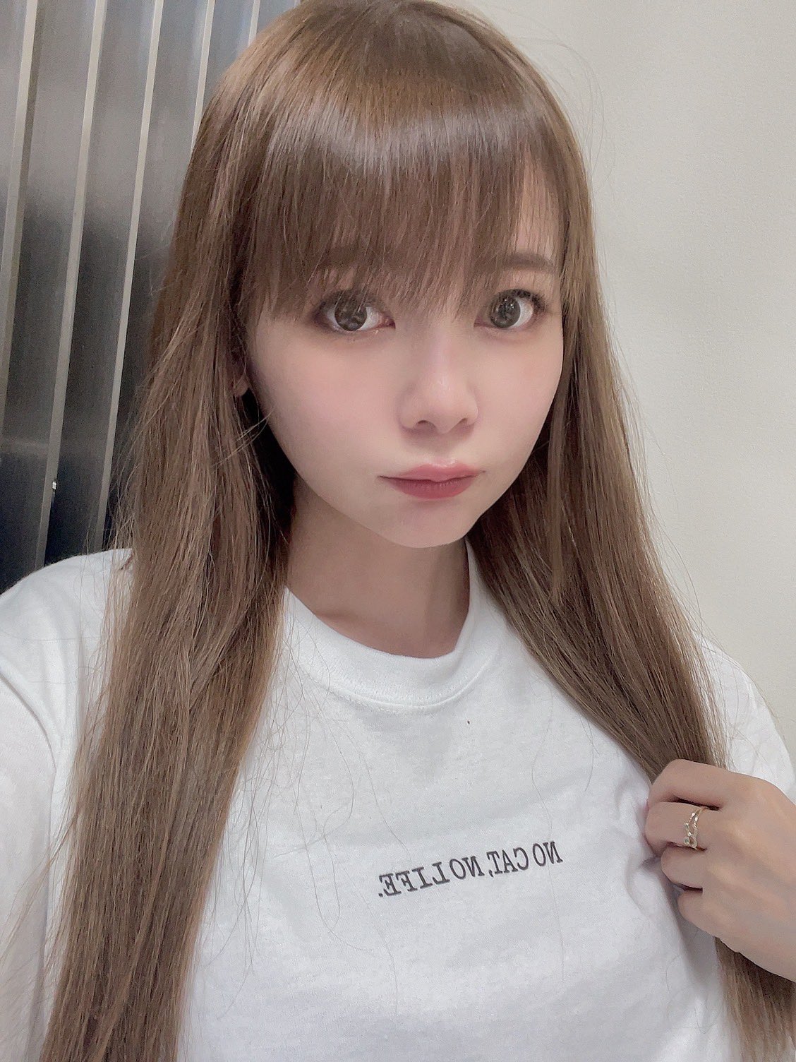 20周年の中川翔子🍒🍉🍫 on Twitter: "mmts 猫あるある🐈Tシャツ シンプルにきこなせる万能ロンT！ 英語で、猫のあるある〜！が書いてあるおしゃれ😻 mmtsは売り上げの一部を ...