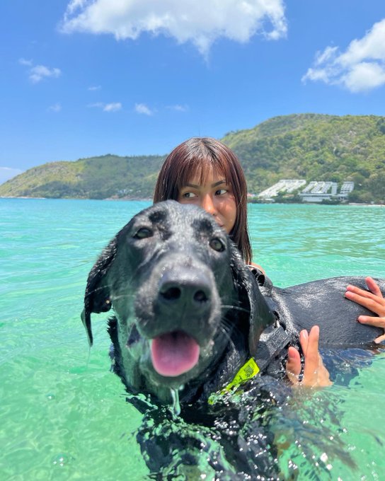 TW Pornstars - 🇹🇭 Macy-Nihongo - Thailand 🇹🇭. The most liked pictures ...