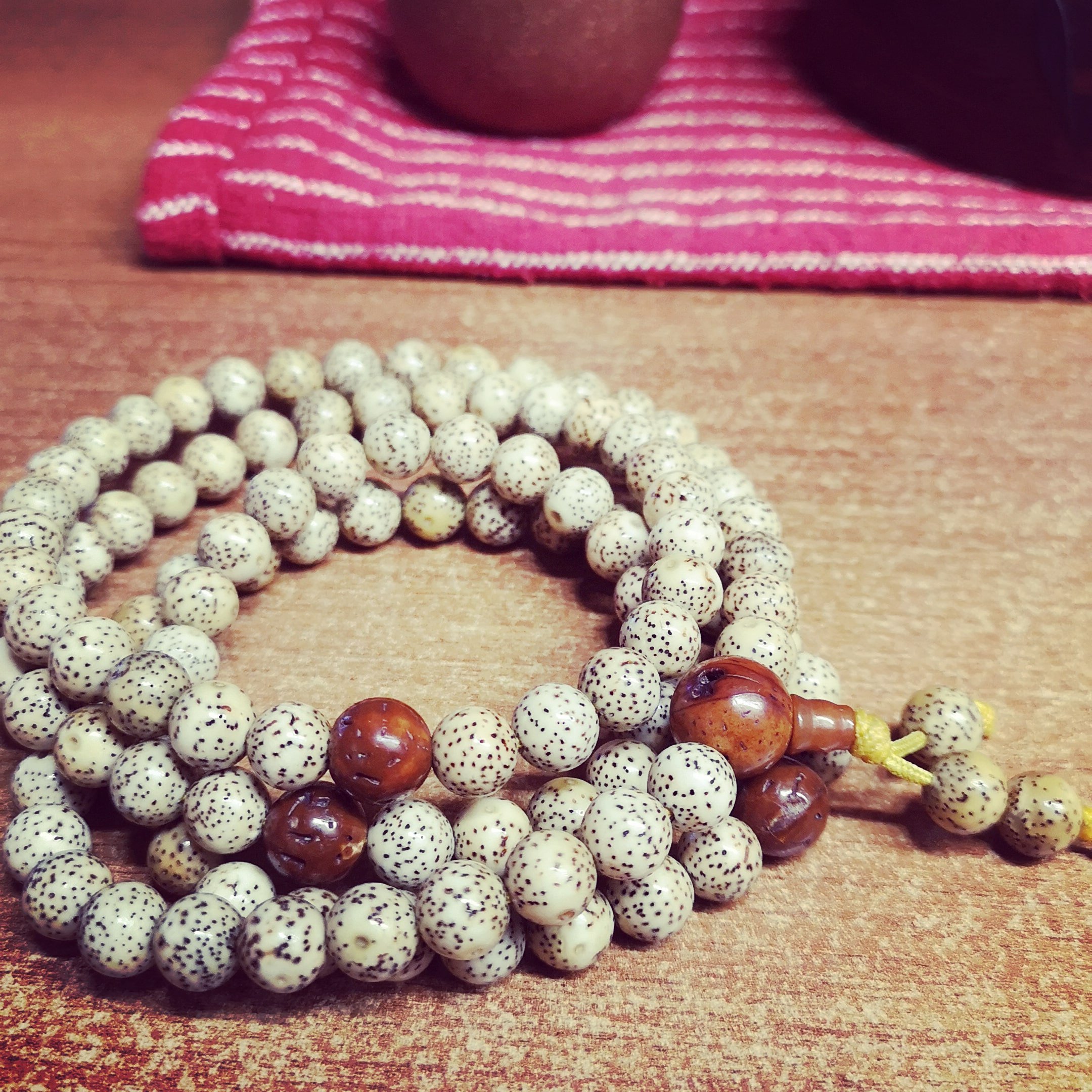 XuDong Sun (@XuDongSun9) / Twitter