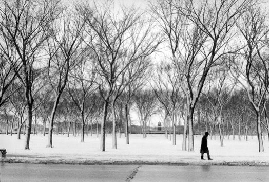 David Vestal, 1973: Betty @bettyxx84