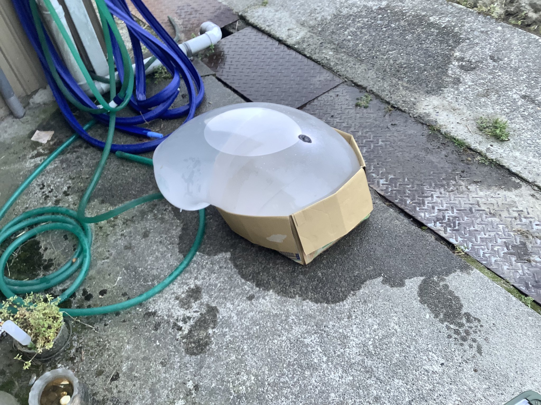 しょたた (@u9s22) / Twitter