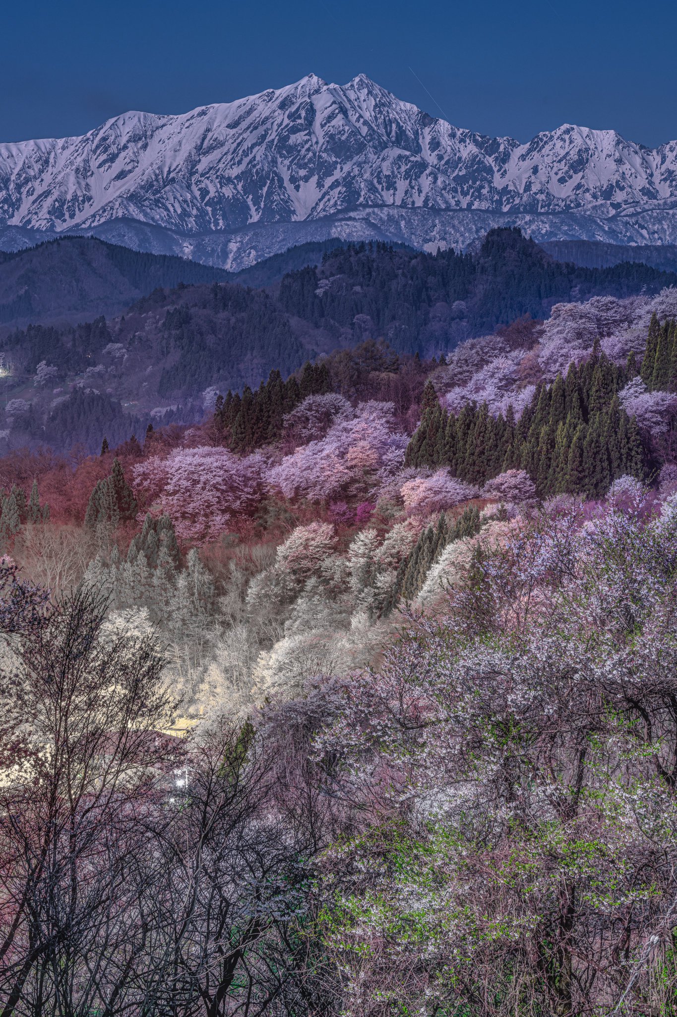 Tatsuki Ito| ta2funk.eth ᵍᵐ on Twitter: "ガチで遺作になりそうだった一枚がこちらです(背後にクマ) https://t.co/sU8lPalltL ...