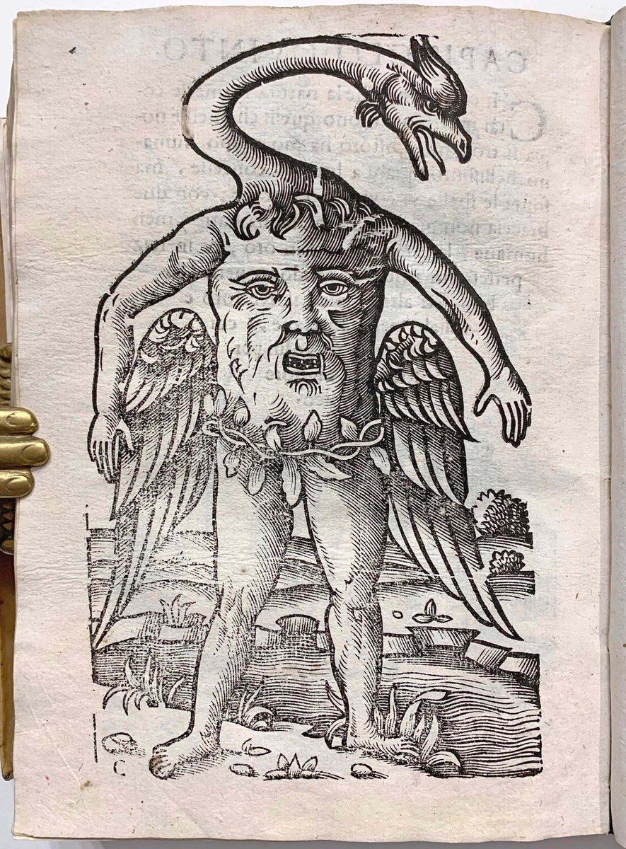 These extraordinary woodcuts, assigned to the workshop of Hans ...