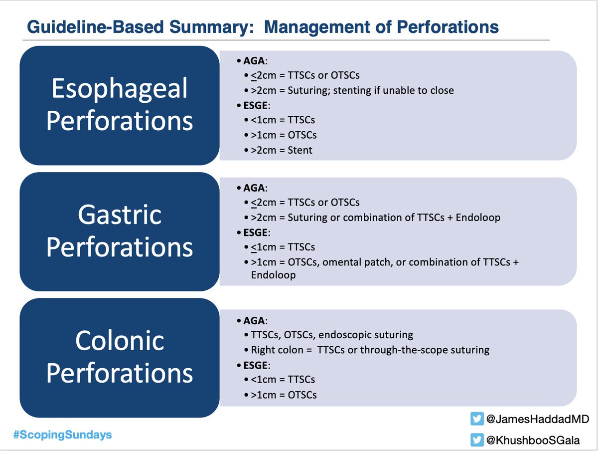 @ScopingSundays @KhushbooSGala @TomTielleman @tareksawas ...