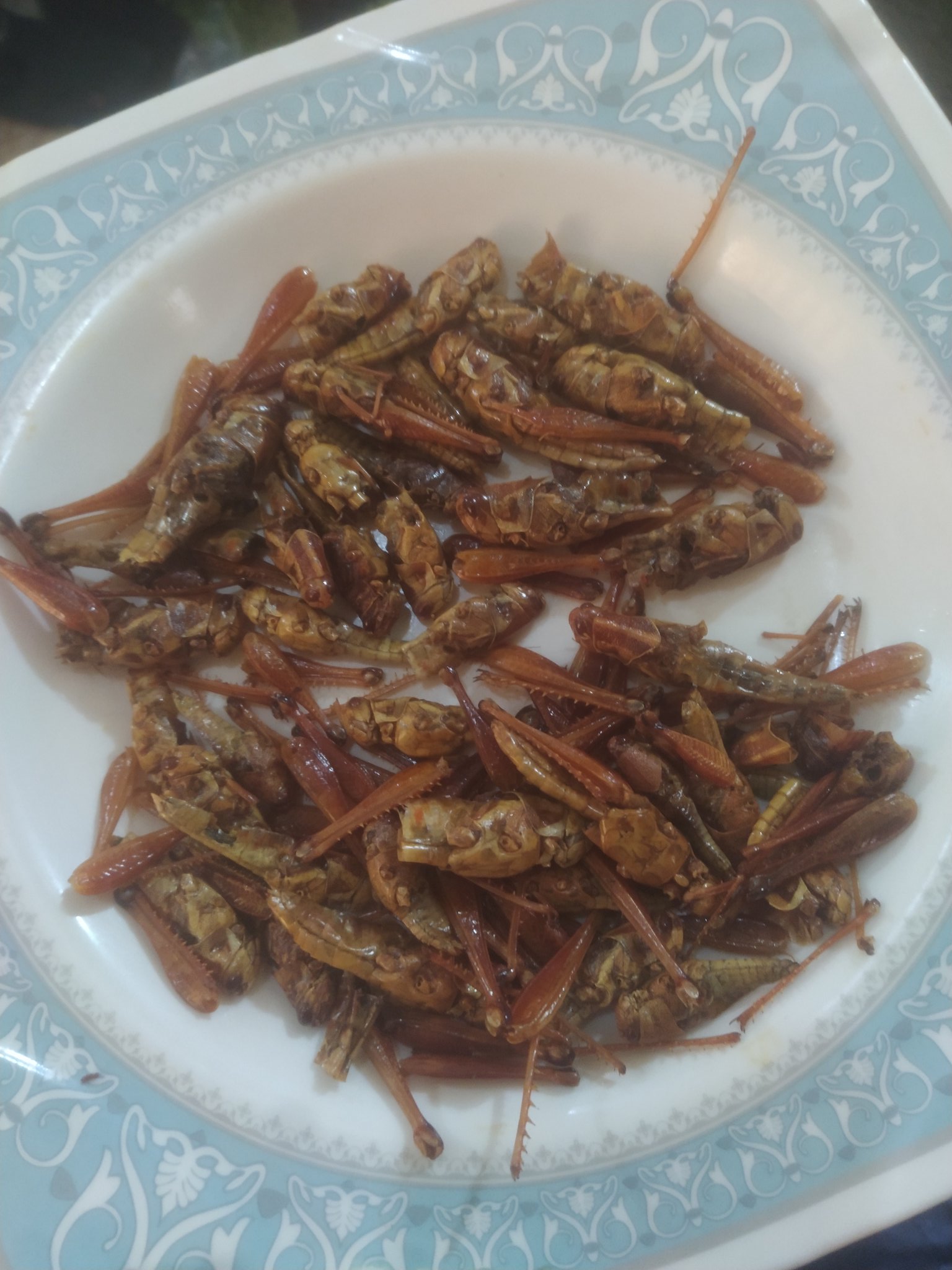 Gaddafi Abdullahi tahir (@TahirGaddafi) / Twitter