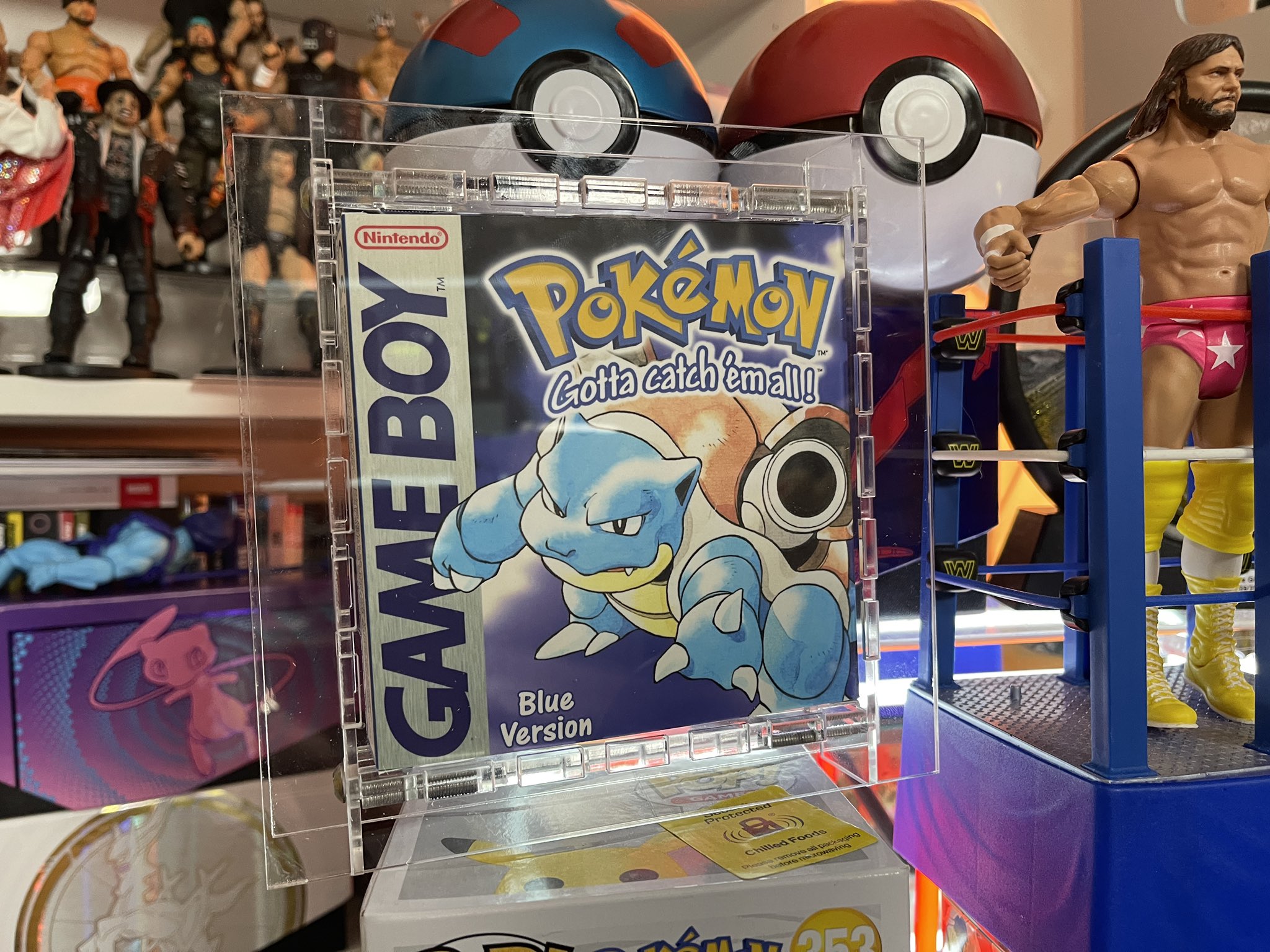 Pokemon Blue Cartridge