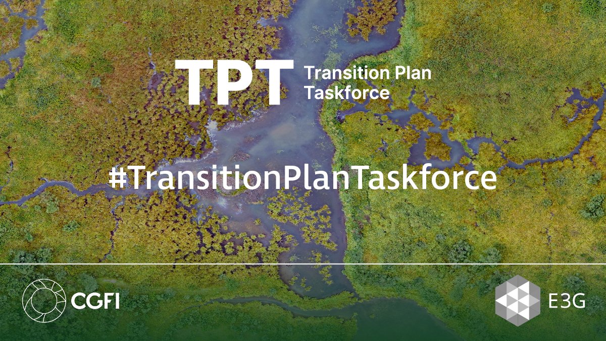 Transition Plan Taskforce on Twitter: "#TransitionPlanTaskforce brings together senior experts ...
