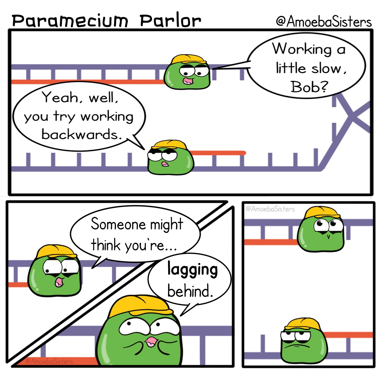 Dna Replication Comic Strip