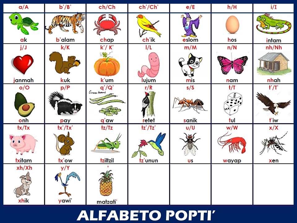 Nombres de animales con la letra ch. - Imagui