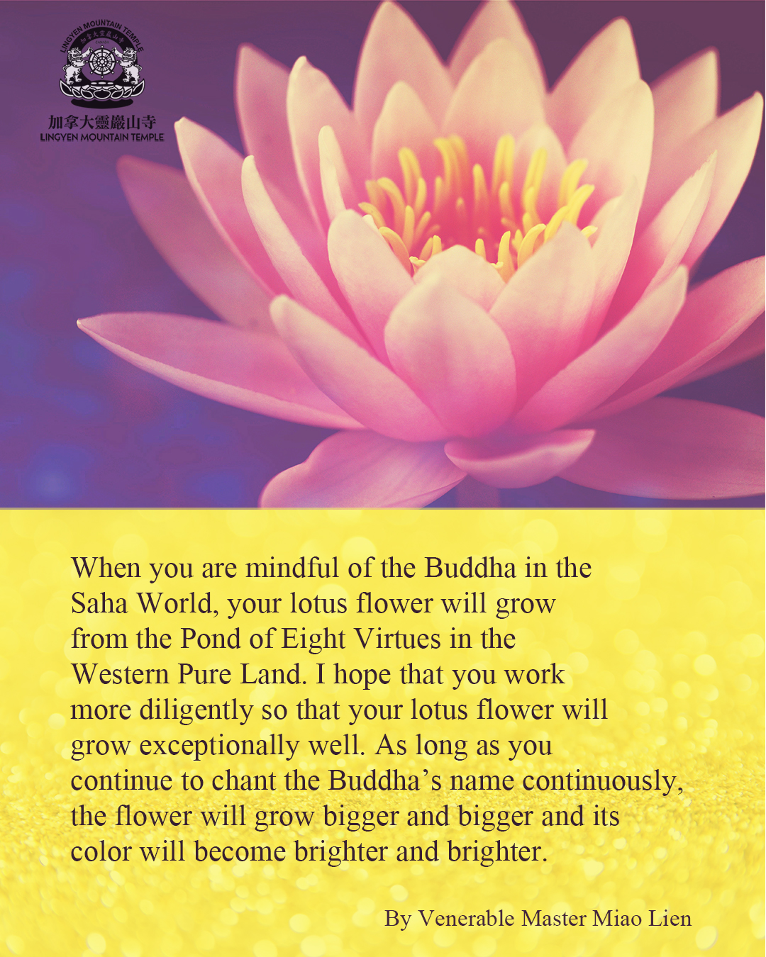 Lotus Flower Meaning Quotes