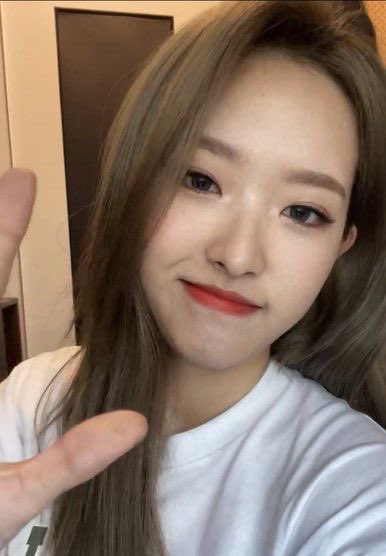 cherry motion 멕시코 on Twitter: "Olivia Hye 💬 🐺: ”Ayer, los Orbits que vinieron como publico se ...