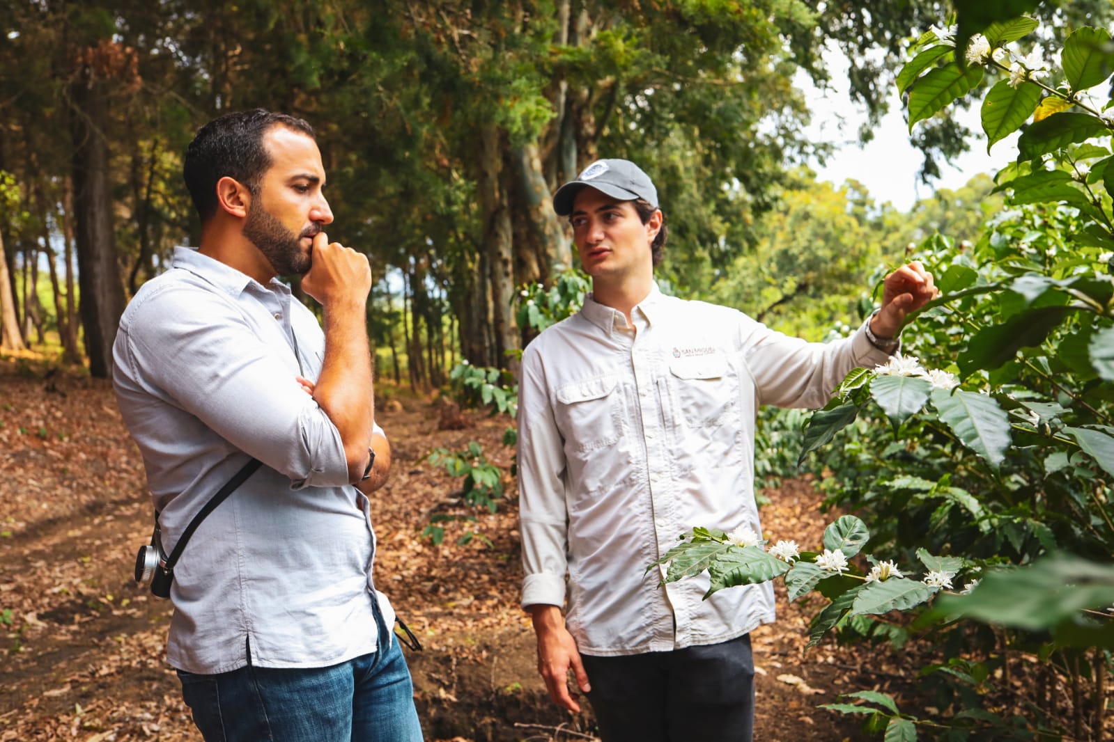 Instituto Guatemalteco de Turismo -INGUAT- on Twitter: "#VisitaOficialEAU🇦🇪 | El S.E Jeque Fahim ...