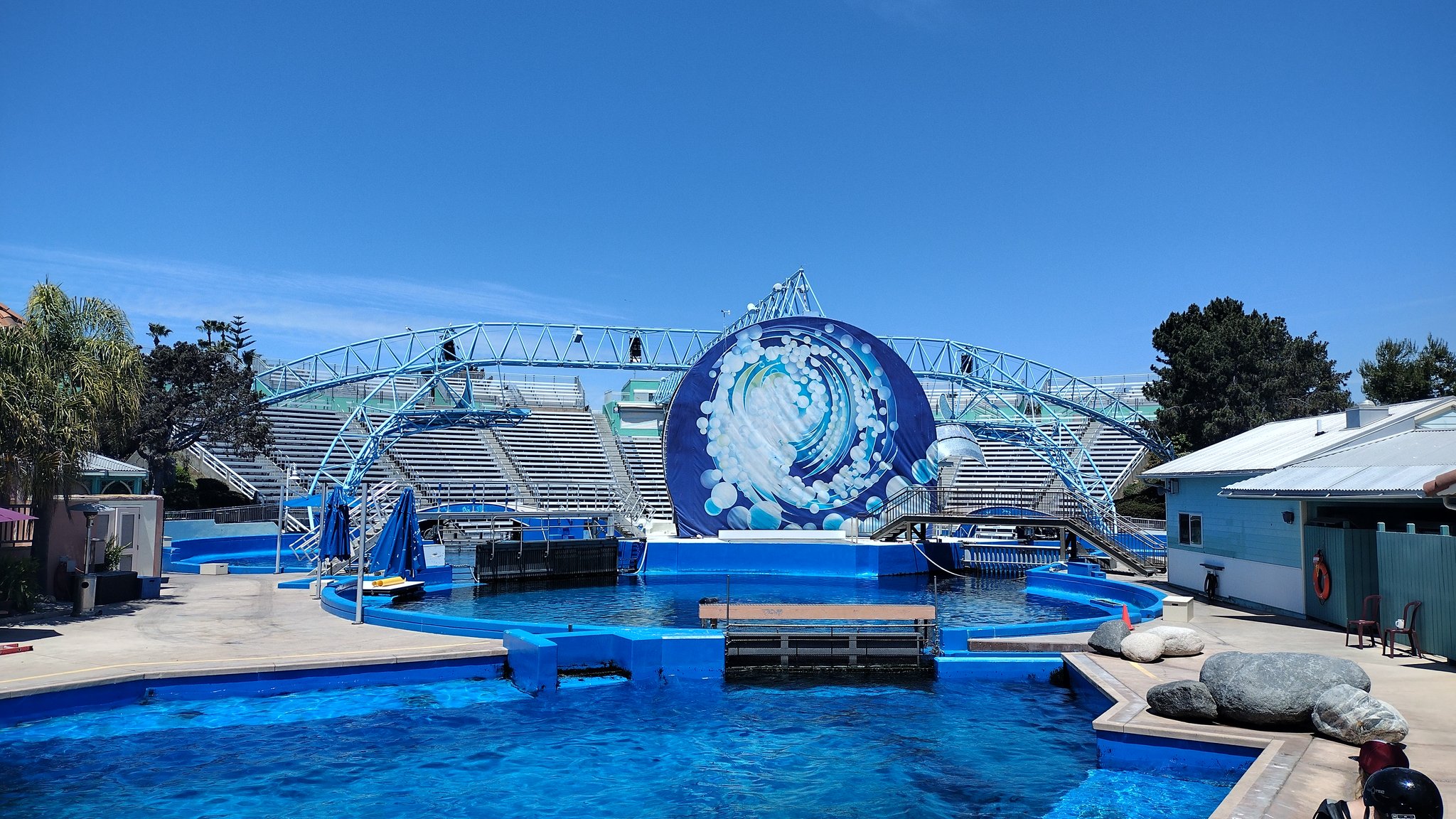 Seaworld Dolphin Show