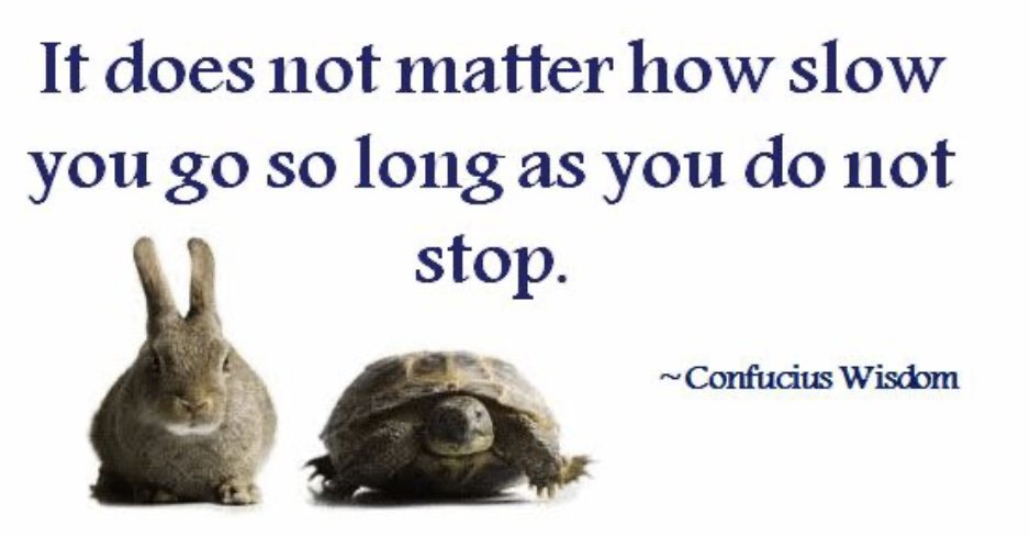 Tektree Systems on Twitter: "Have a wonderful day! https://t.co/PKHf8ZTLAs" / Twitter