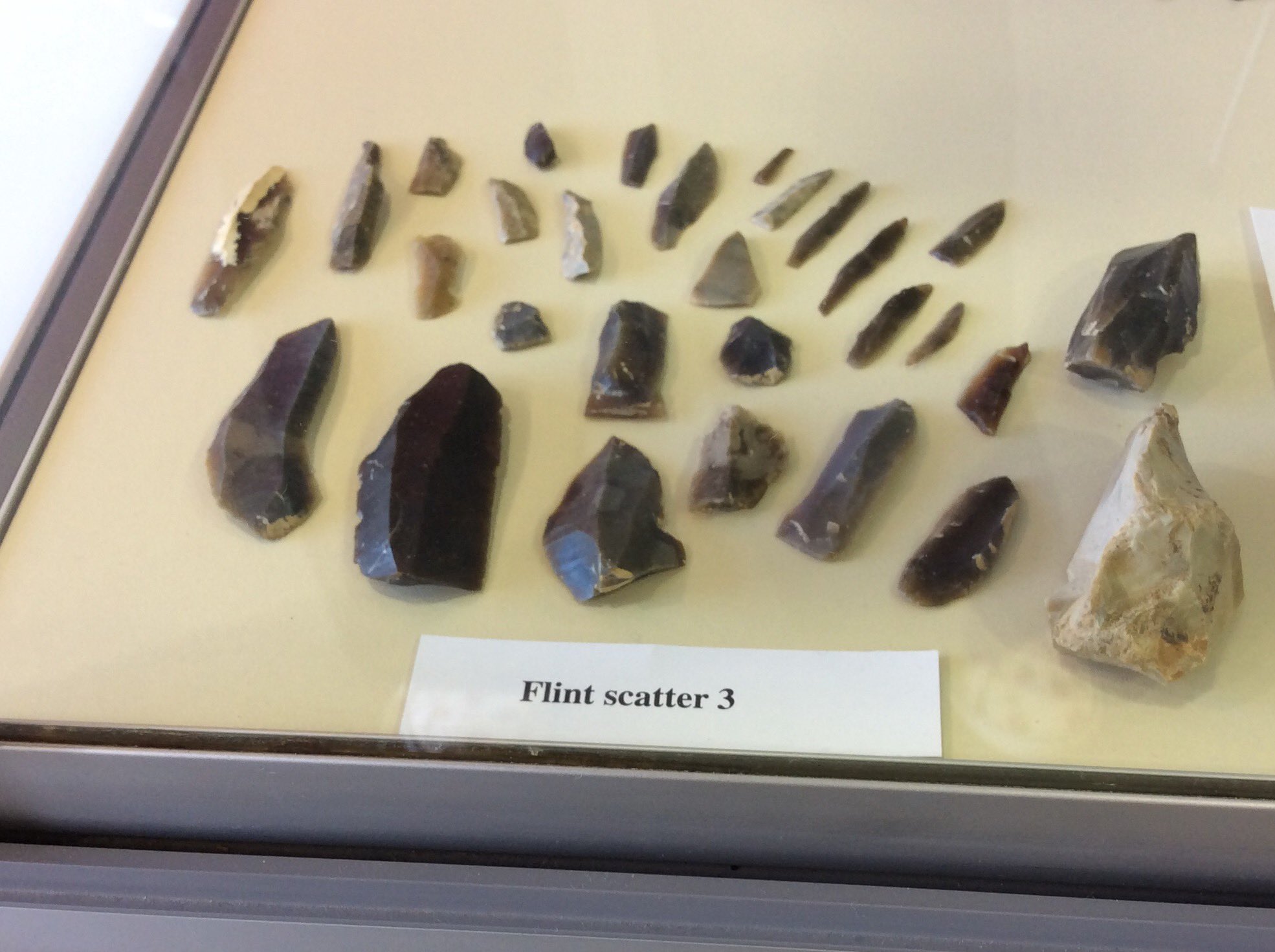 Bexhill Museum on Twitter: "A flint scatter, on display in our Sargent Gallery. #Bexhill https ...