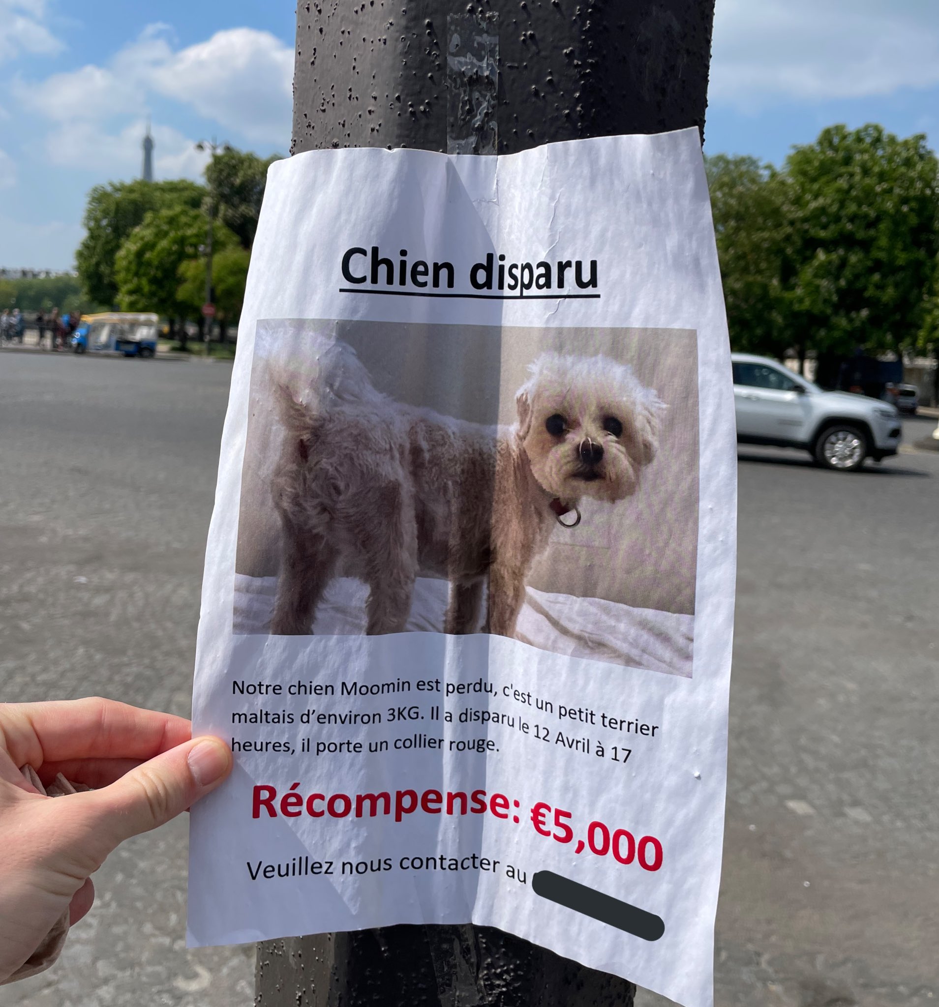 Florent Derue on Twitter: "5000 balles ???! J’suis à ta recherche nuit et jour dès à présent ...