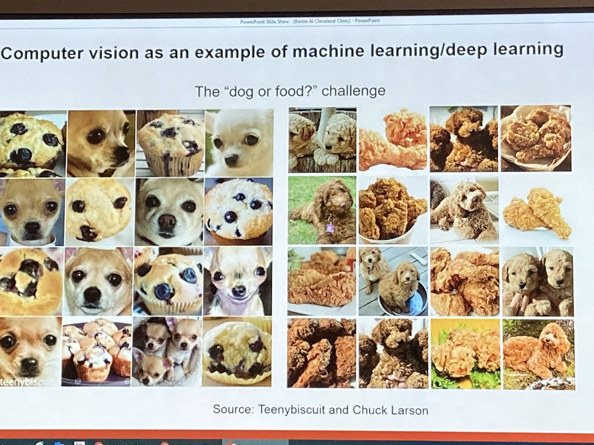 Dog Vision Example
