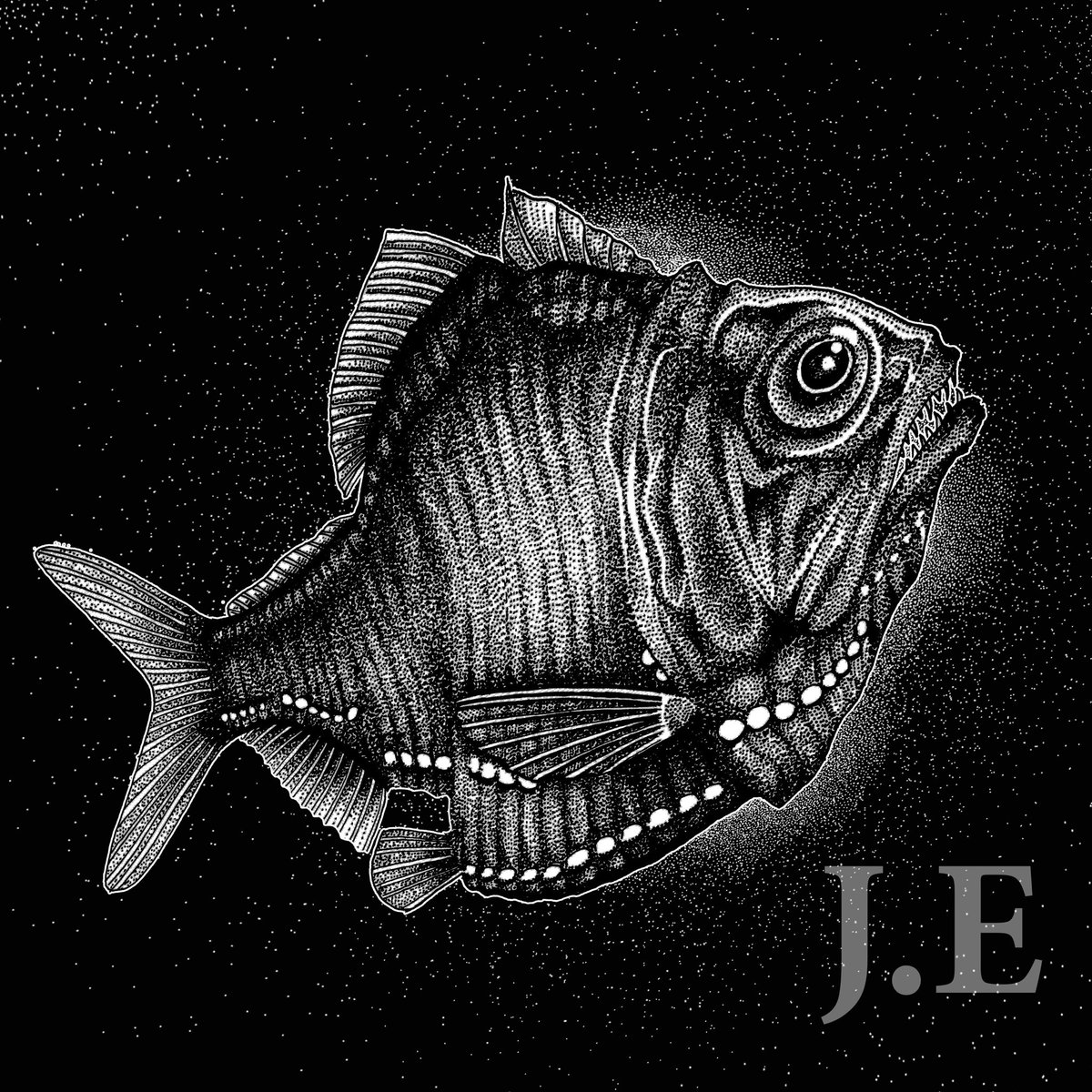 Hatchetfish Bioluminescence