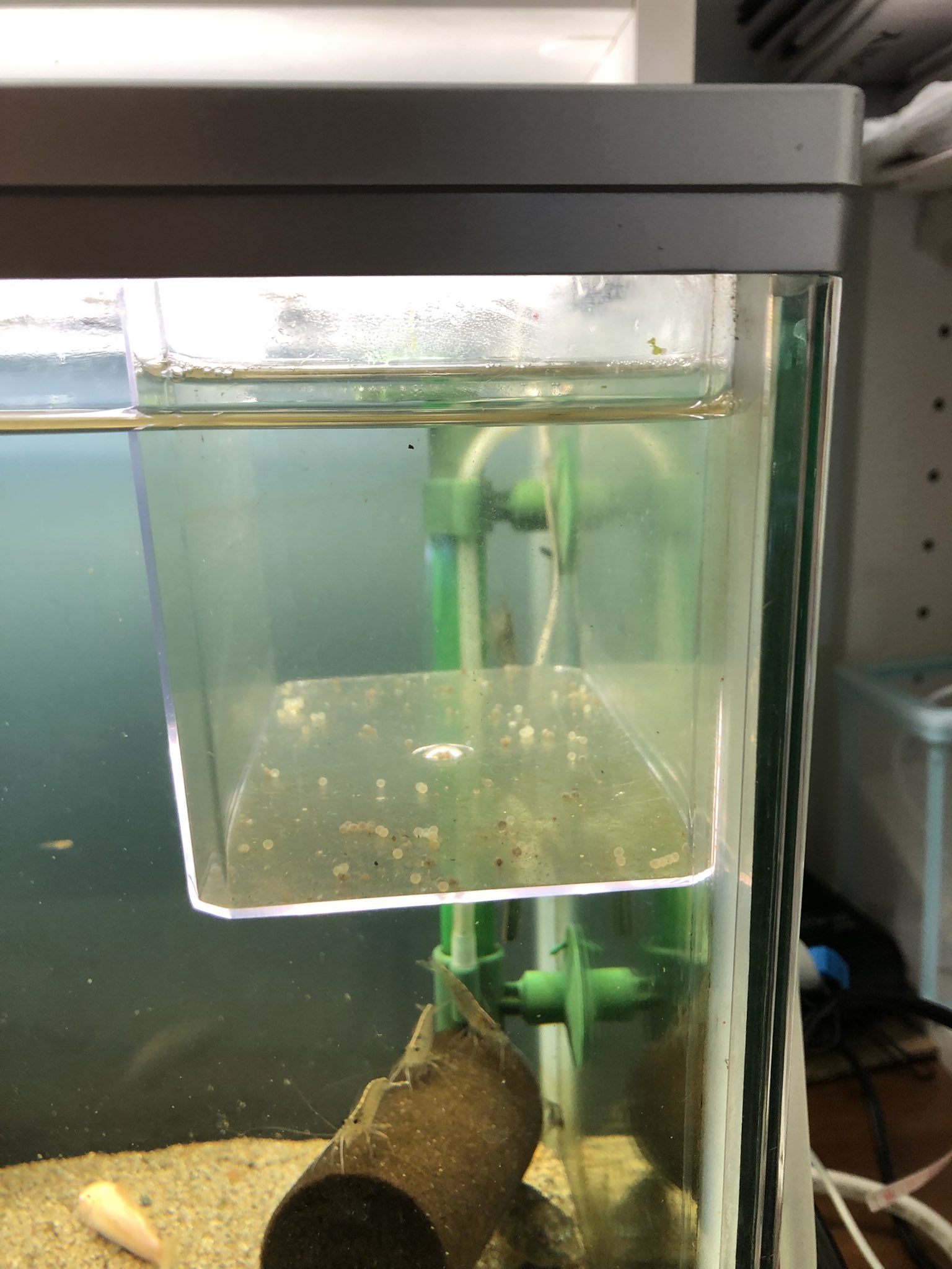 logonet (@logonet_jp) / Twitter