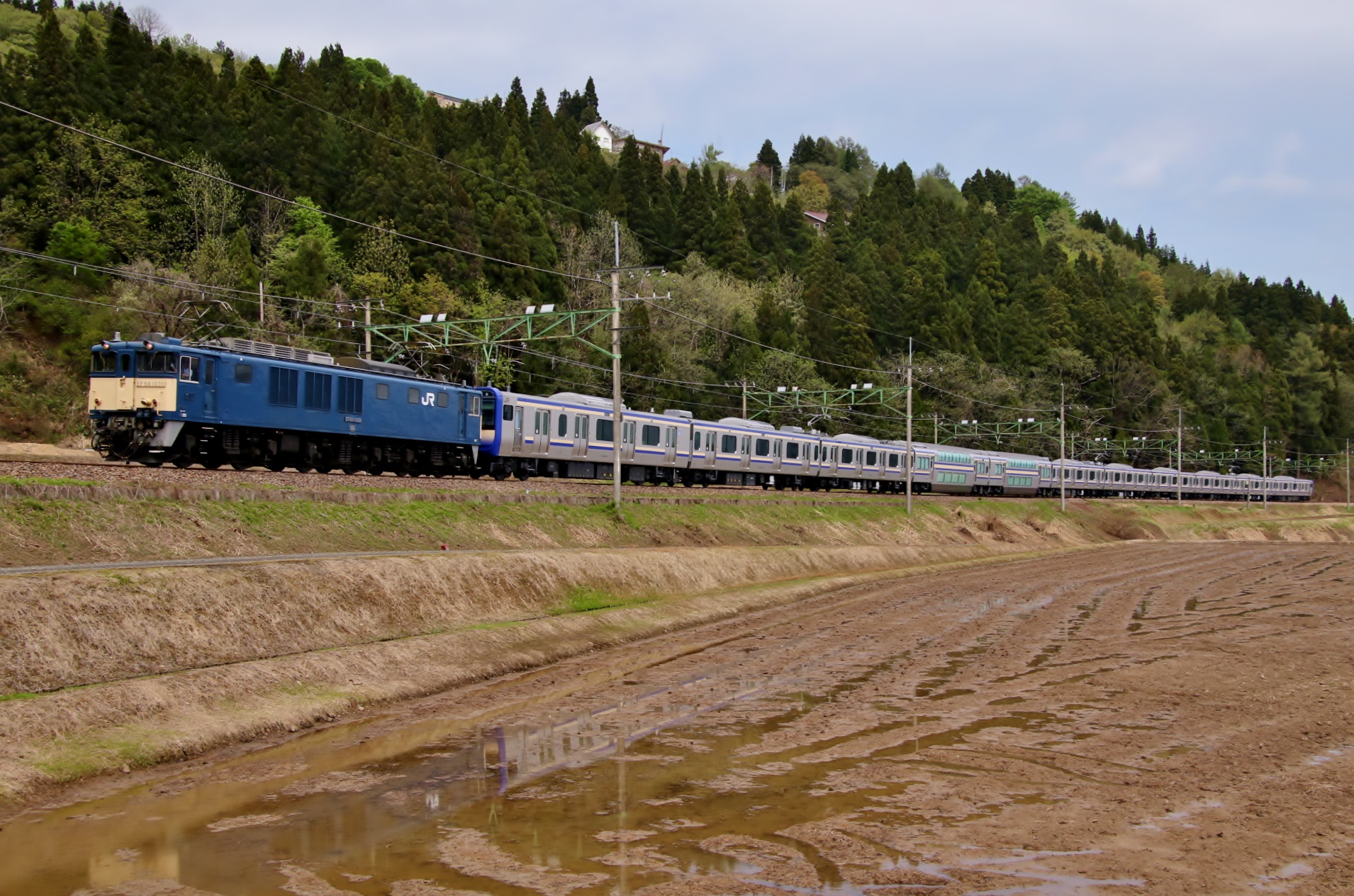 わんこ on Twitter: "2022/4/28 配9728レ EF64 1030+E235系F-16編成 久しぶりの新津配給。 お会いした皆様お疲れ様でした。 https://t.co ...