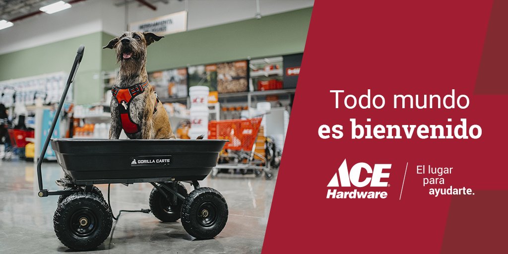 Is Ace Hardware Dog Friendly