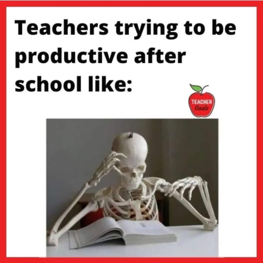 Teachers Be Like Meme Skeleton