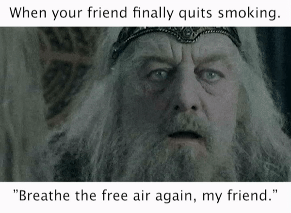 Smoky Air Memes Get Ready For Wildfire Smoke Season – PUBLIC HEALTH