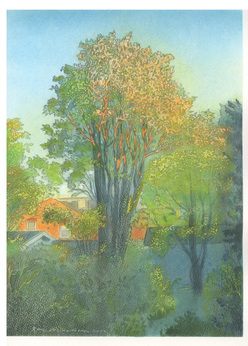 Twoucan - Ian Beck (@ianarchiebeck)