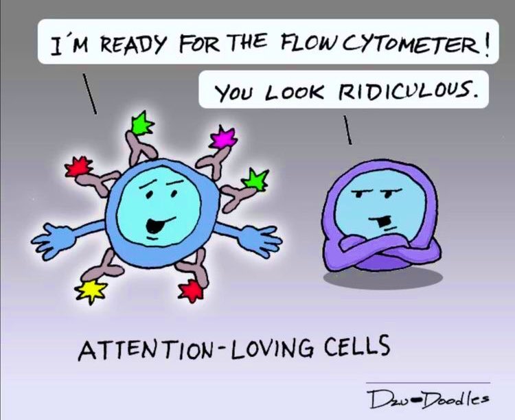 Immune System Jokes Qwik Jokes | Good Qwik Joke In Every New Tab