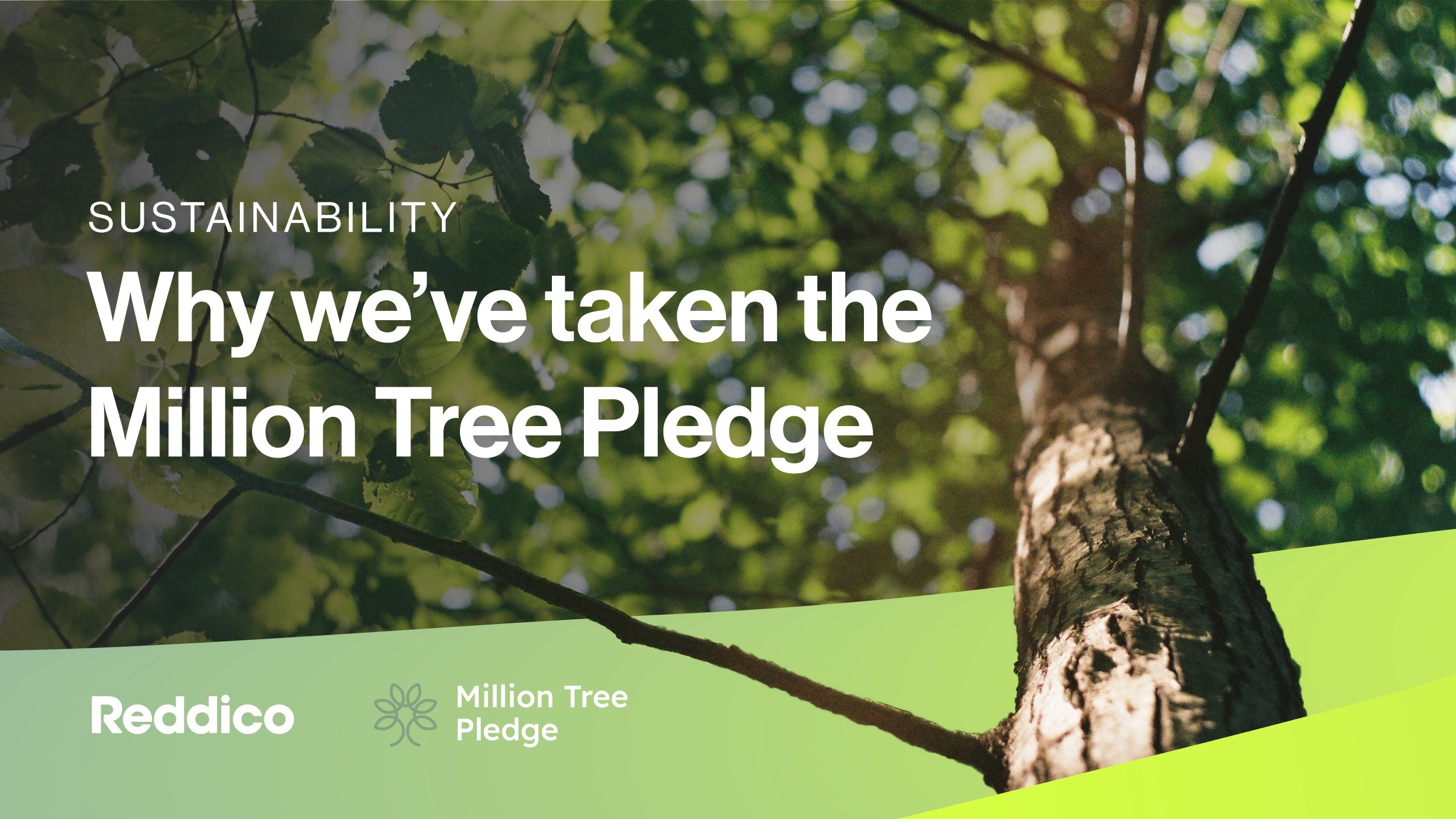 Million Tree Pledge (@pledge_tree) / Twitter