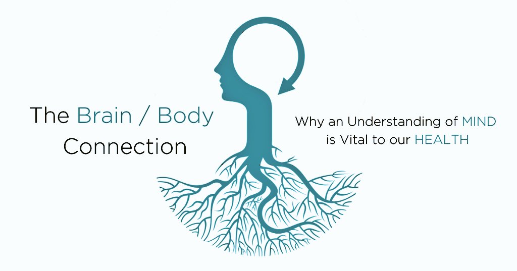 10 Neuroscience backed steps to Optimize Your Brain-Body Function ...