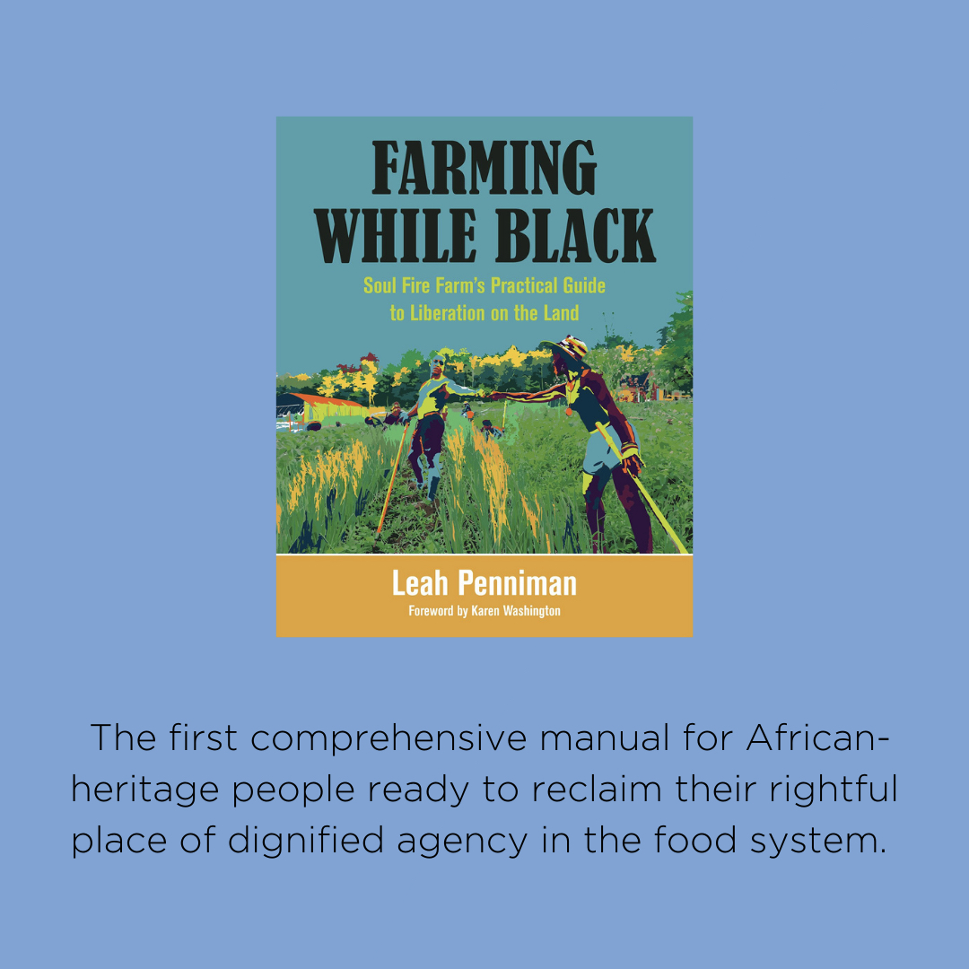 Stephen Ritz – Full Biography – Stephen Ritz