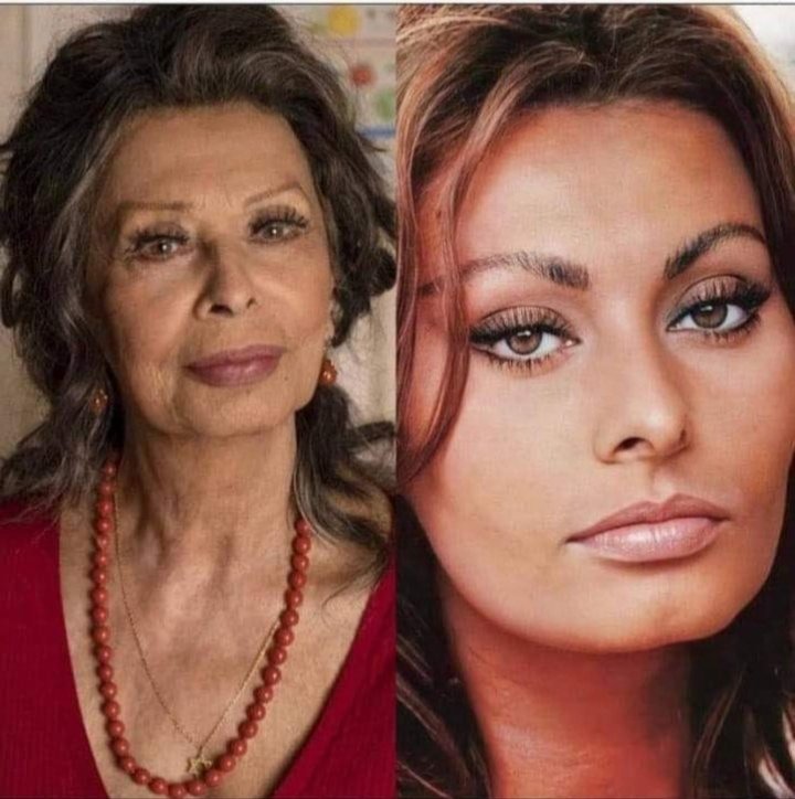 Mayo Convocar Muchos sofia loren ojos Muerto en el mundo Probar autoridad