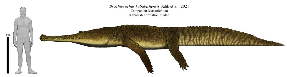 Fabio Alejandro (@FabioAleRomero) さんのイラスト・マンガ作品まとめ (71 件) - Twoucan