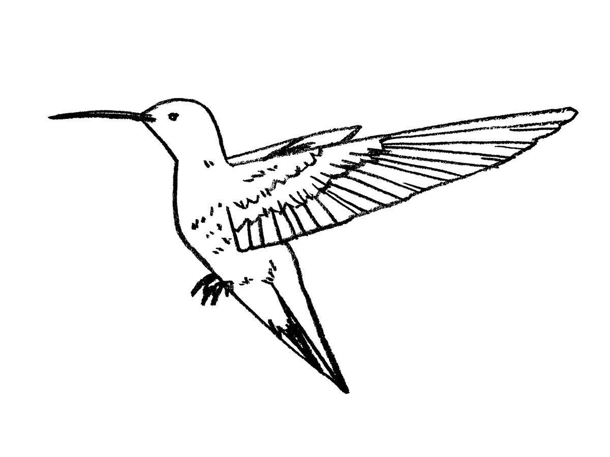 「なんとも言えないドローイングたち 」koki tsubomoto | 坪本幸樹の漫画