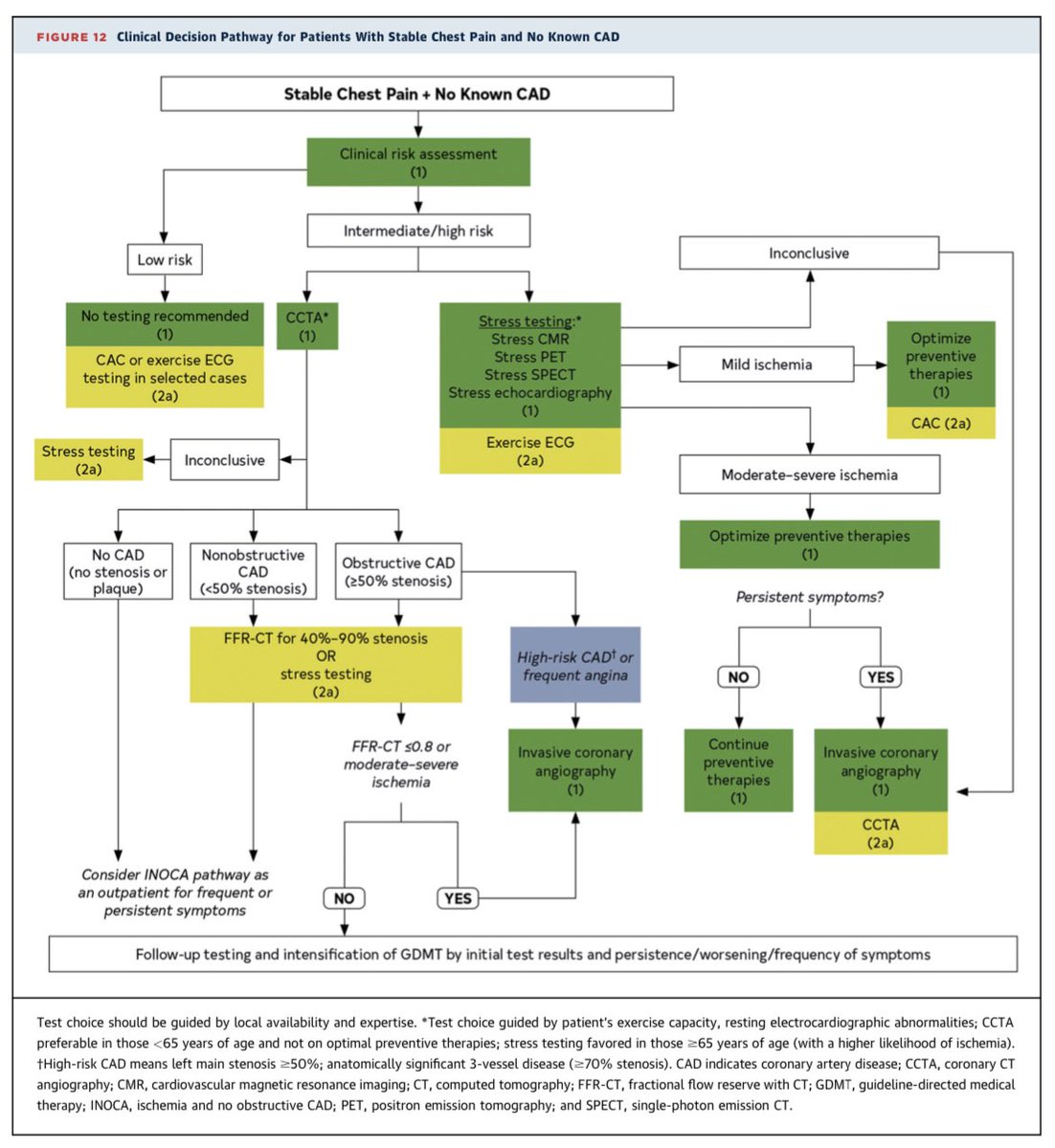 Snapshots from ACC Guideline for chest pain evaluation and diagnosis ...