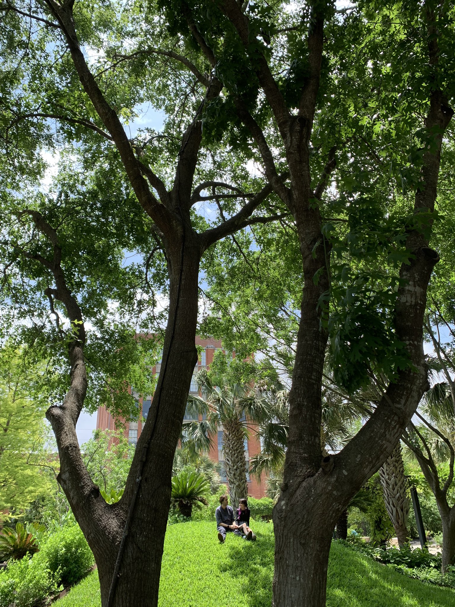 TW Pornstars - 2 pic. Hairy Styles. Twitter. Celebrating three years ...