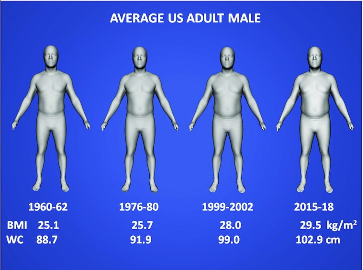 Average American Man