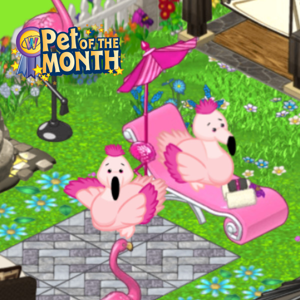 Ganz eStore on Twitter: "The cool and colorful Fancy Flamingo likes to be pampered, so when they ...