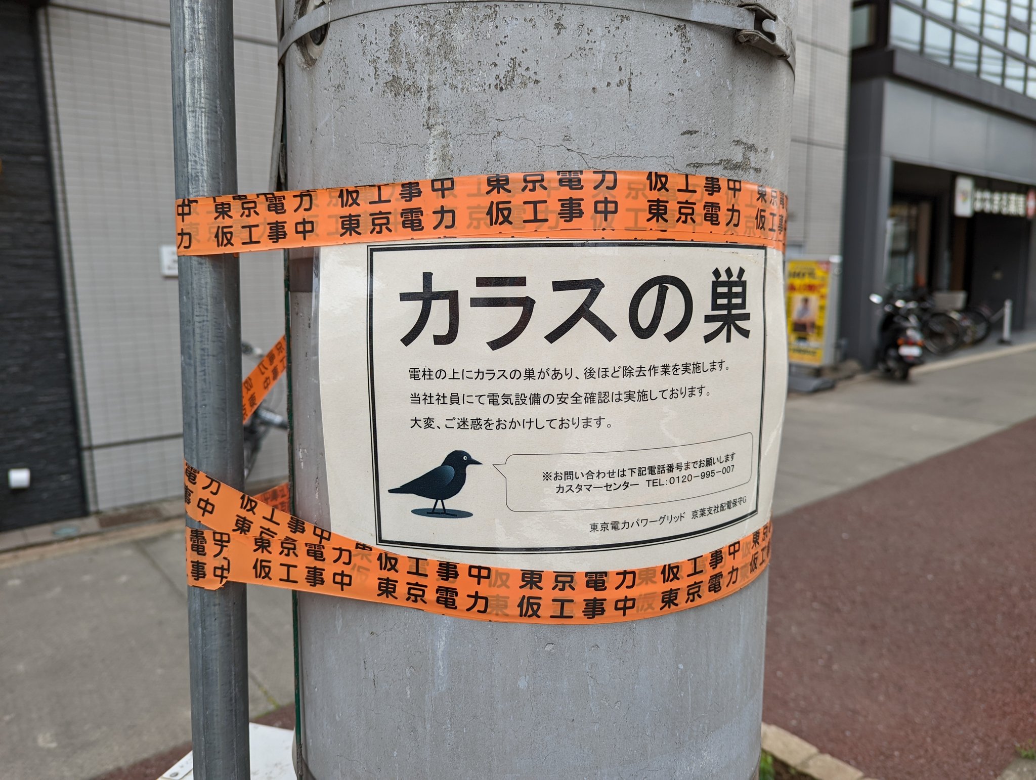 妙典・行徳あたりに在住 Go Myoden On Twitter 行徳駅前の、星野珈琲豆や前の電柱。カラスの巣があるようだ。気にしておいた