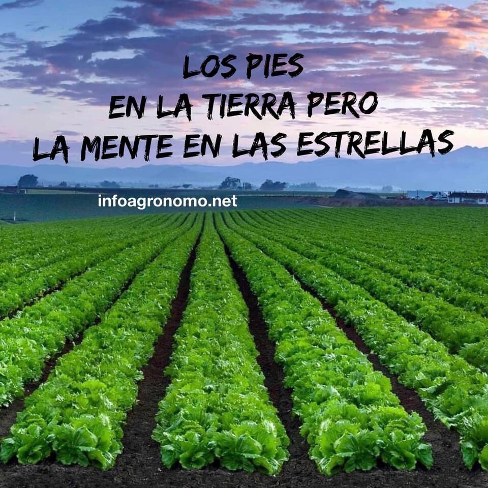 InfoAgronomo on Twitter: InfoAgronomo on Twitter: