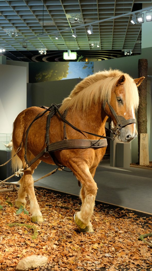 佐藤成美 (@narumi_sato_) さんのモデル作品まとめ (4 件) - Twoucan