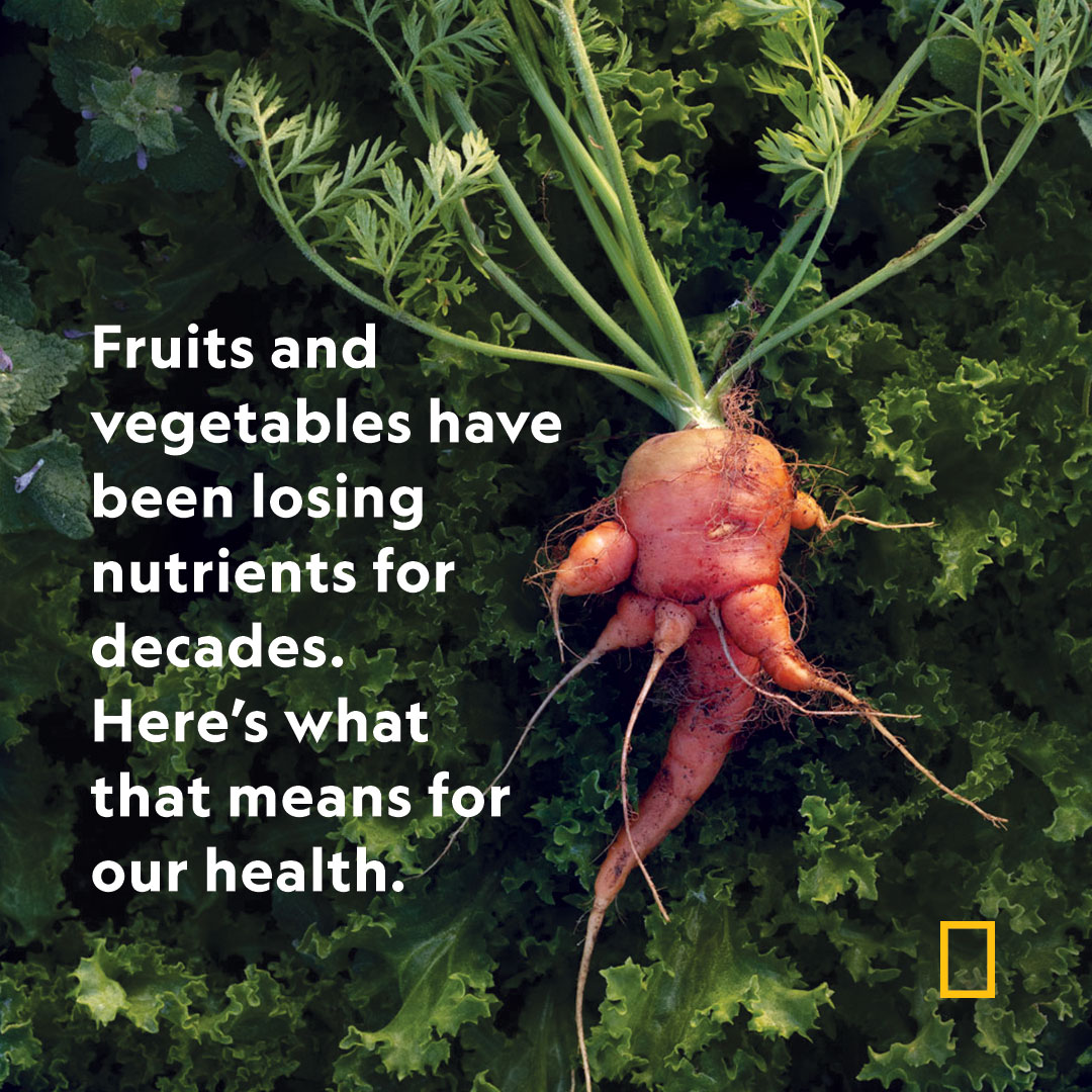 National Geographic Magazine on Twitter: "Mounting evidence shows that ...