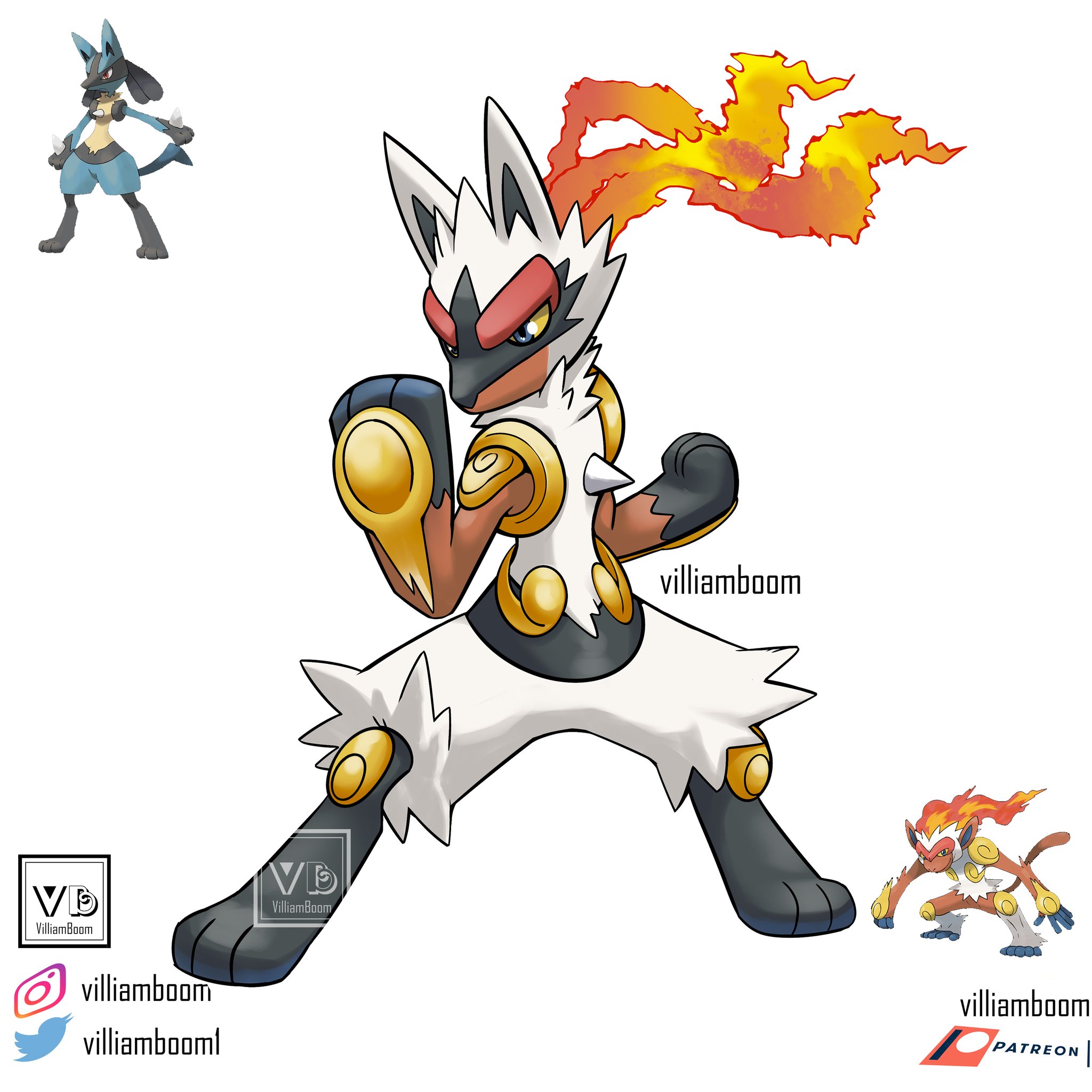 Lucario Vs Infernape