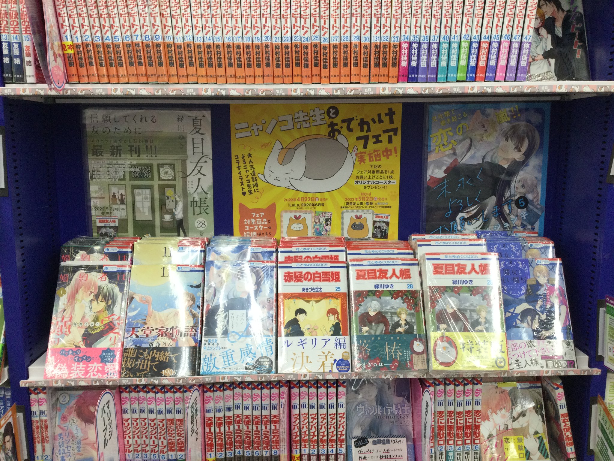 アニメイト池袋本店 On Twitter 【4f 新刊情報】 本日は、 花とゆめ コミックスの新刊発売日アニ💕 さらに、《 ニャンコ先生