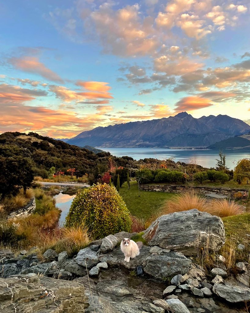 Liz Dotcom on Twitter: "Happy Mecki baby 🐱 @KimDotcom https://t.co/xLLSiJe8mK" / Twitter