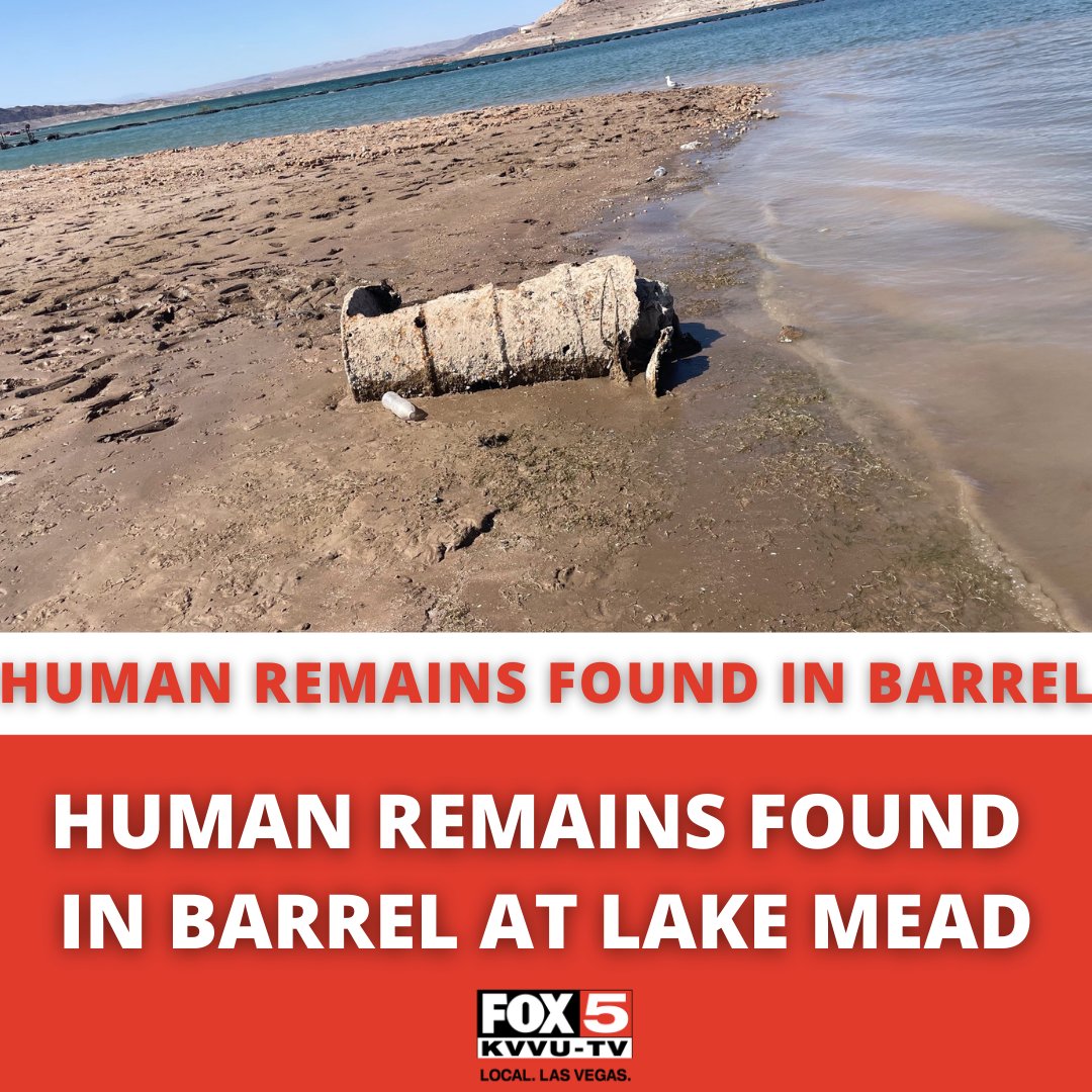 Barrel Human
