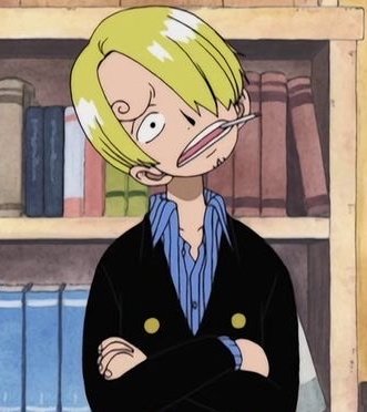 Sanji Time Skip