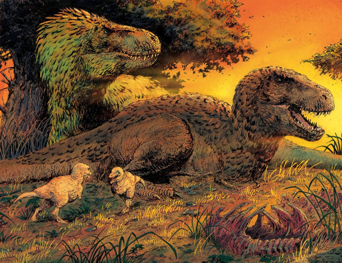 Dinosaurs In The T Rex Family